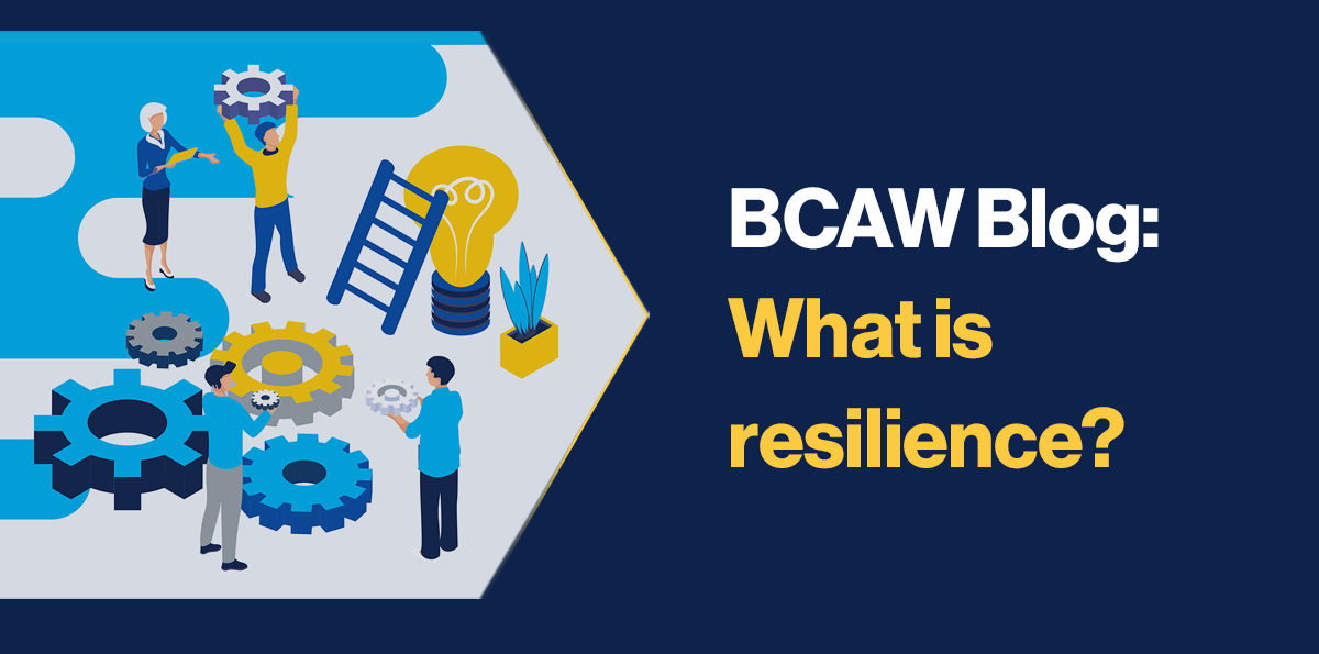 What is resilience? | BCI